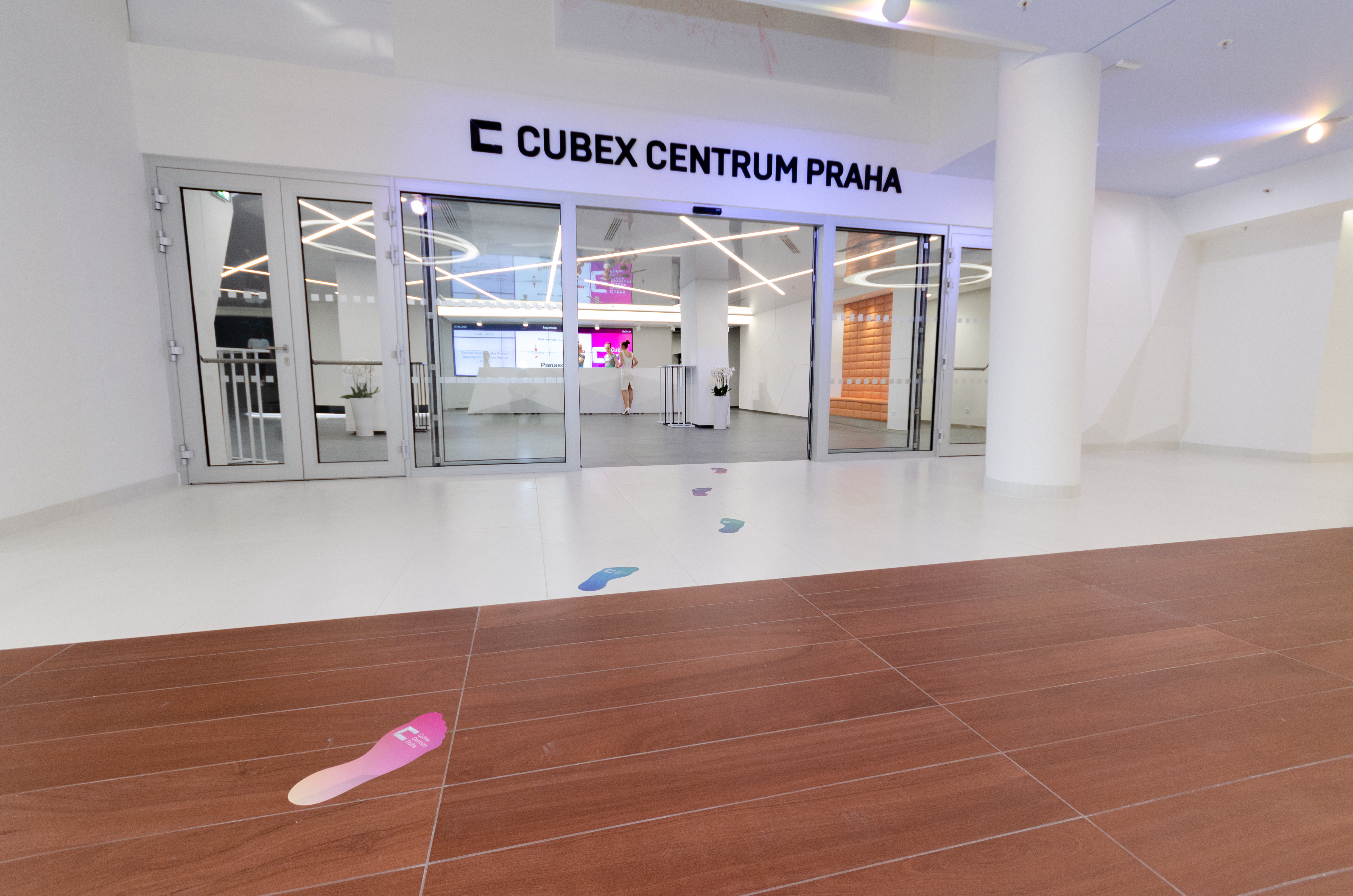 Psonference - Spokojený pes - Cubex